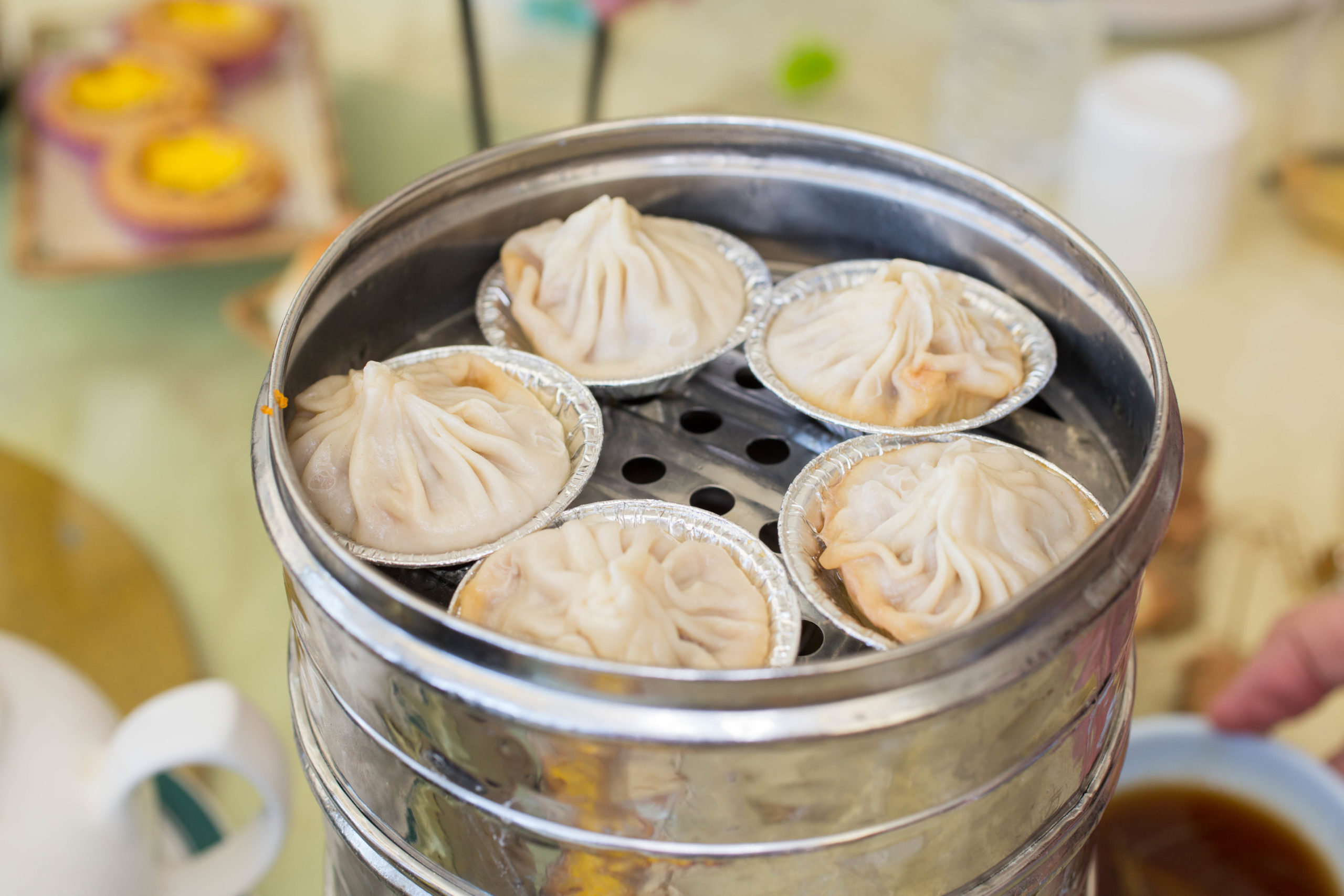 Elite Dim Sum :: All Things Andy Gavin