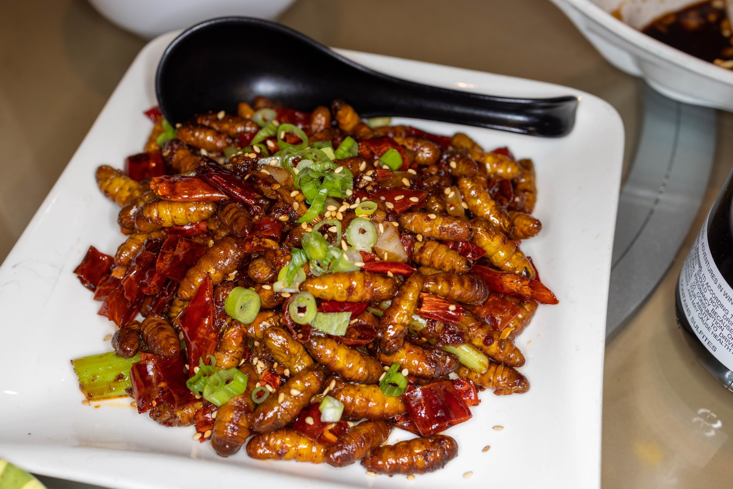 Silk Worm Road – Guan Dong Da Yuan :: All Things Andy Gavin