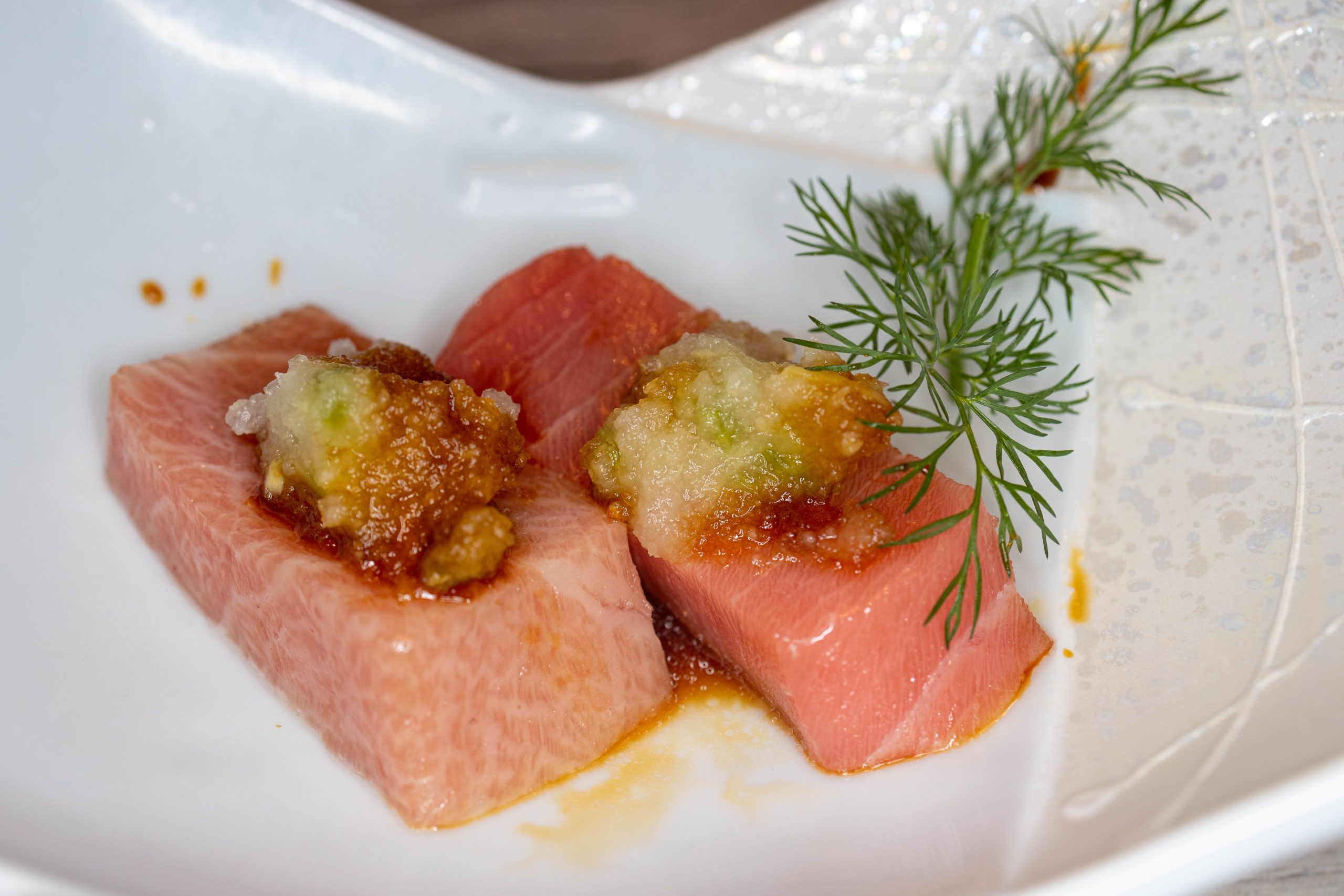 OOToro Holiday :: All Things Andy Gavin