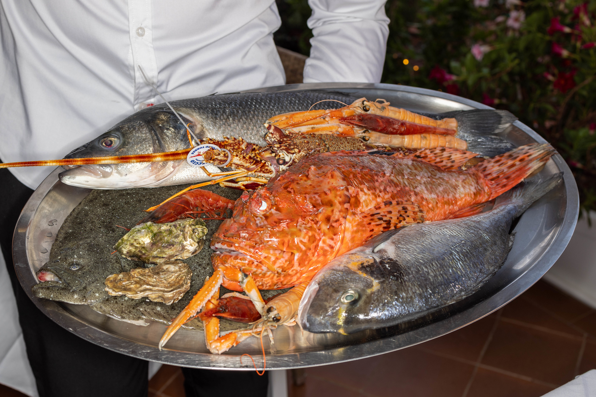Eating Porta Cervo – Renato Pedrinelli :: All Things Andy Gavin