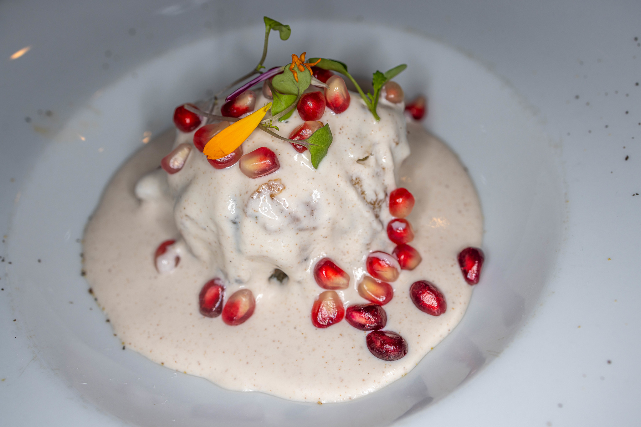 Back to Babita :: All Things Andy Gavin