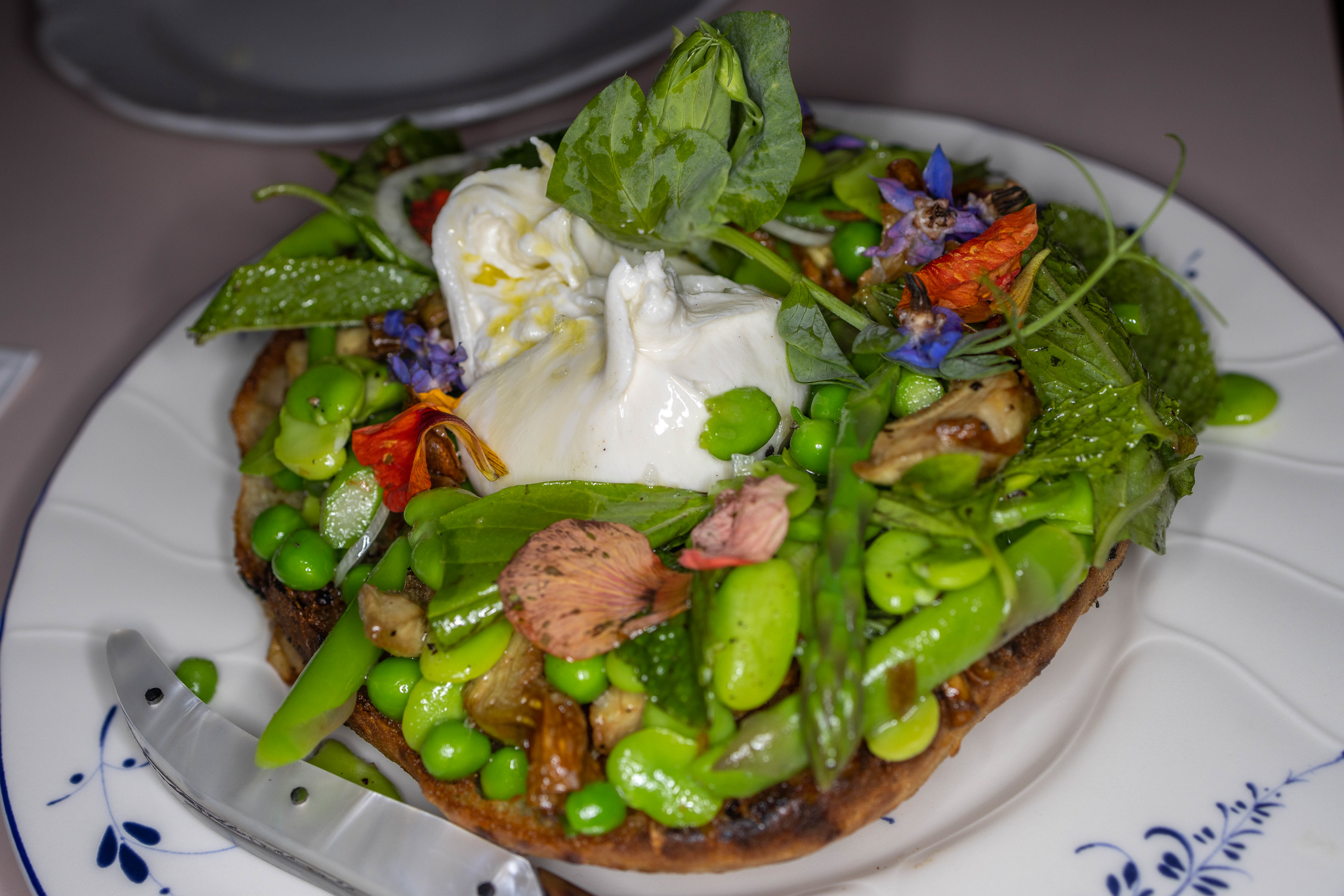 No Funk at Funke :: All Things Andy Gavin