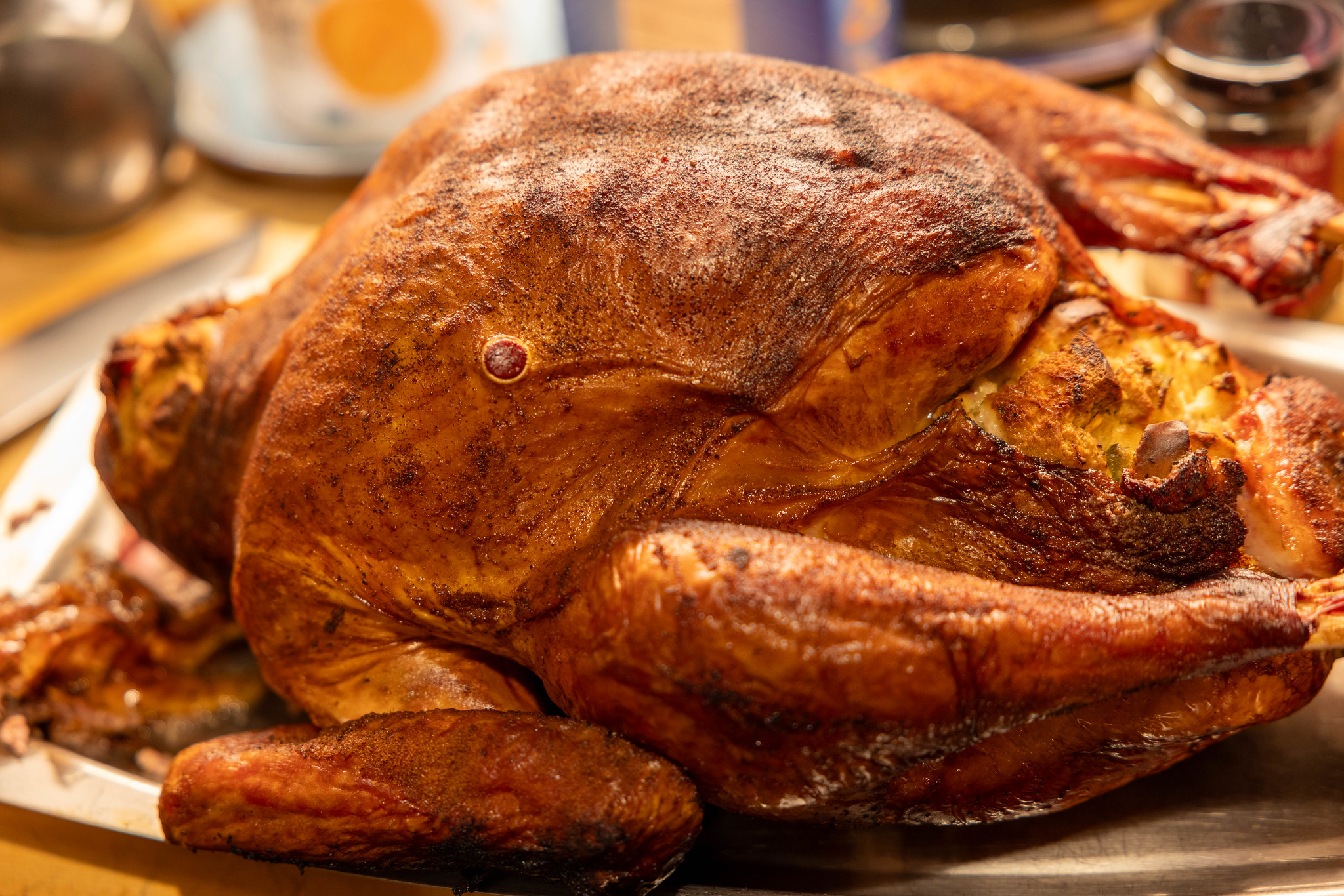 ThanksGavin 2023 :: All Things Andy Gavin