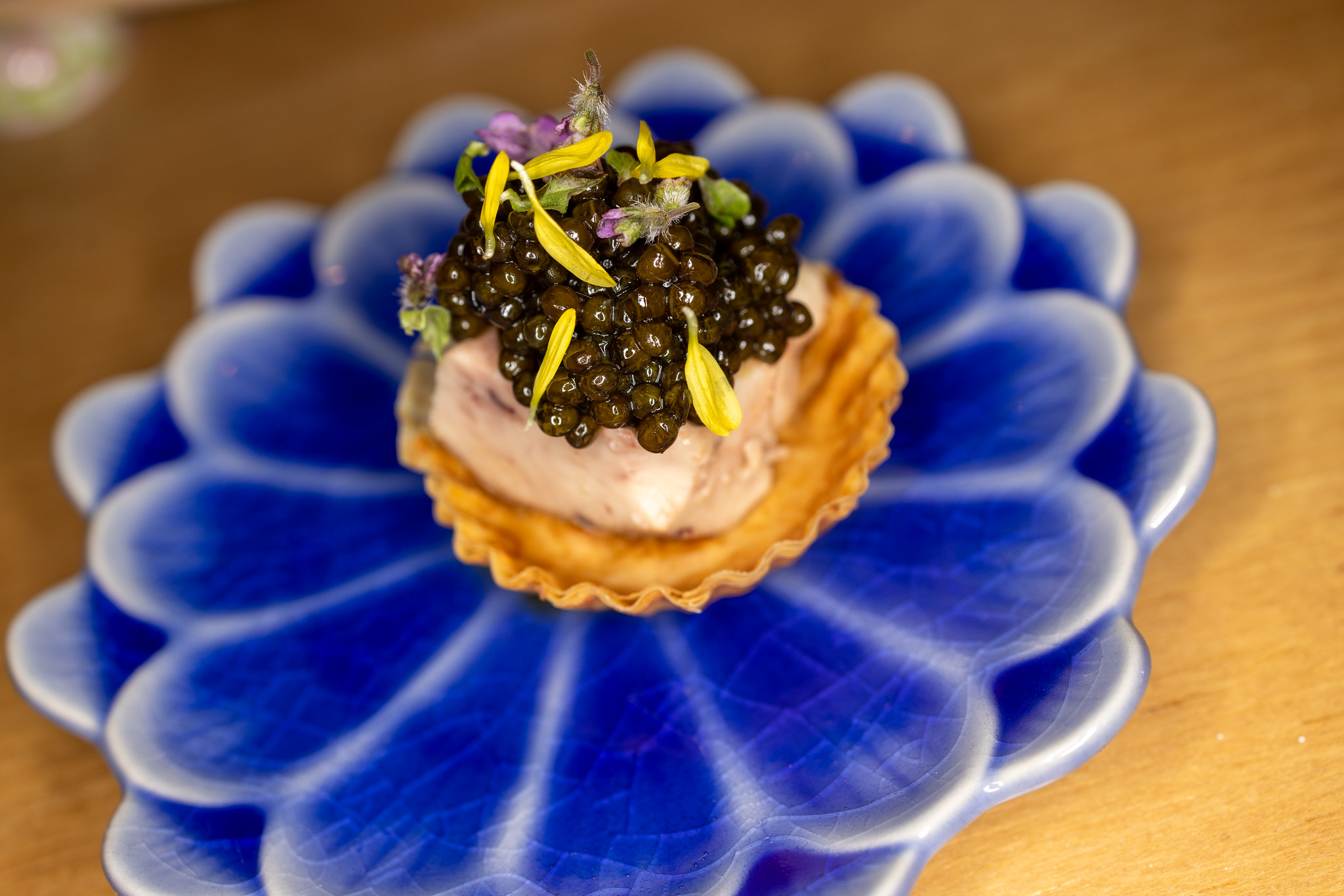 Sushi Sonagi :: All Things Andy Gavin