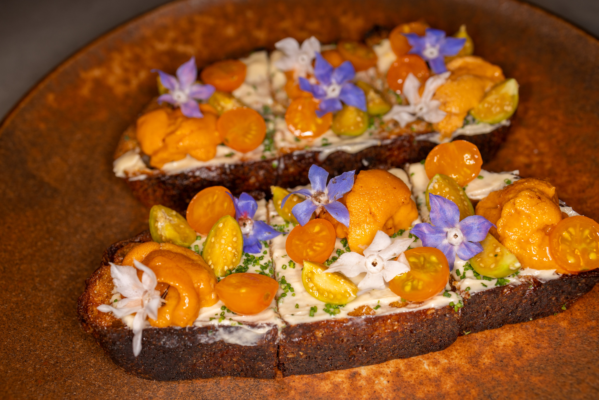 Happy Hibi :: All Things Andy Gavin